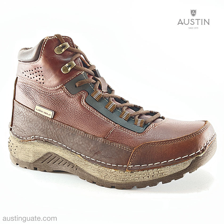 Lobo Solo– Austin Web