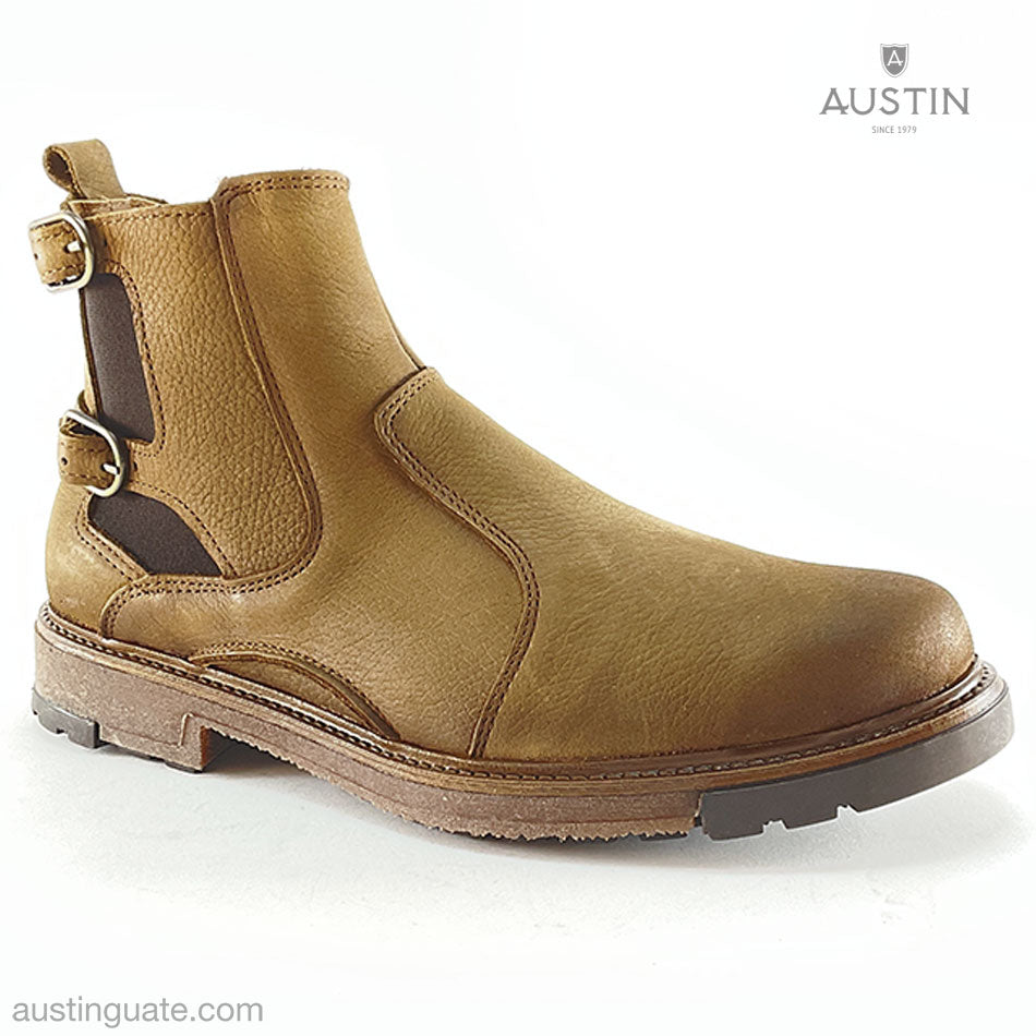 Lobo Solo– Austin Web